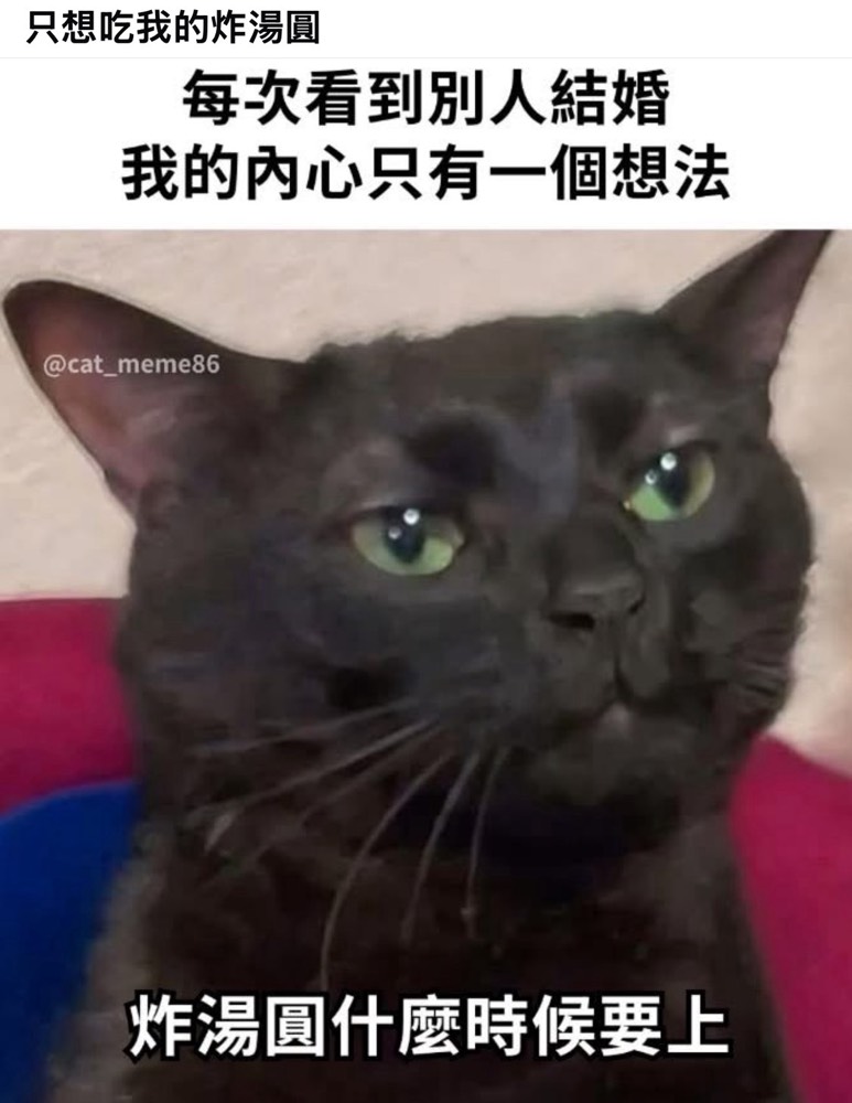 炸湯圓😆 爆笑公社 爆料公社