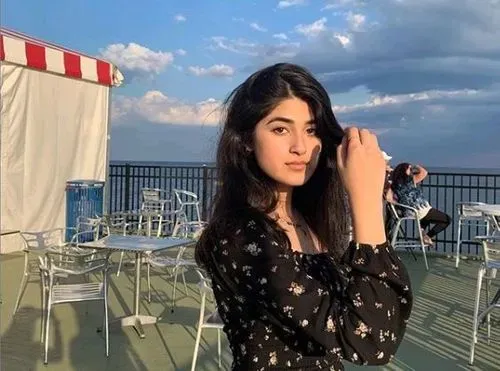 現年17歲的美國阿富汗裔少女弗羅沙·阿齊茲（Feroza Aziz）近日在一則看似要教粉絲如何拉長睫毛，進行美妝教學的視頻中，話鋒突然一轉要求 ...