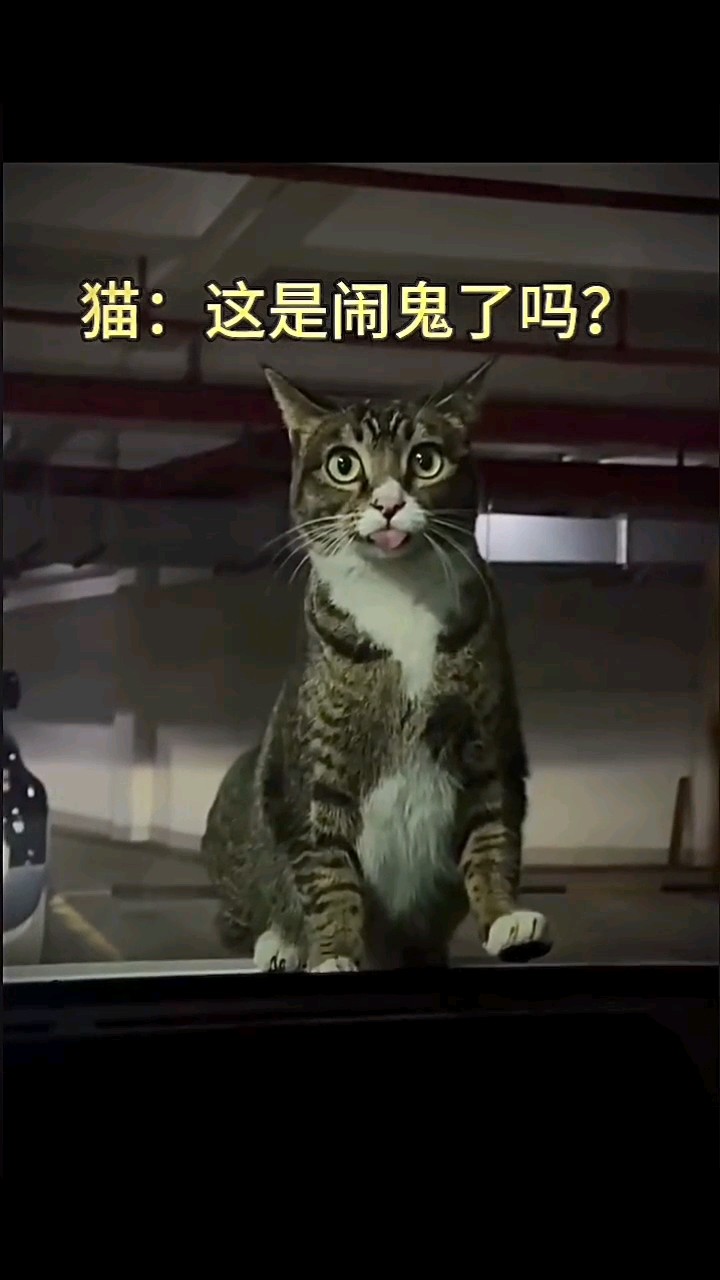 鬧詭 - 爆笑公社 | 爆料公社