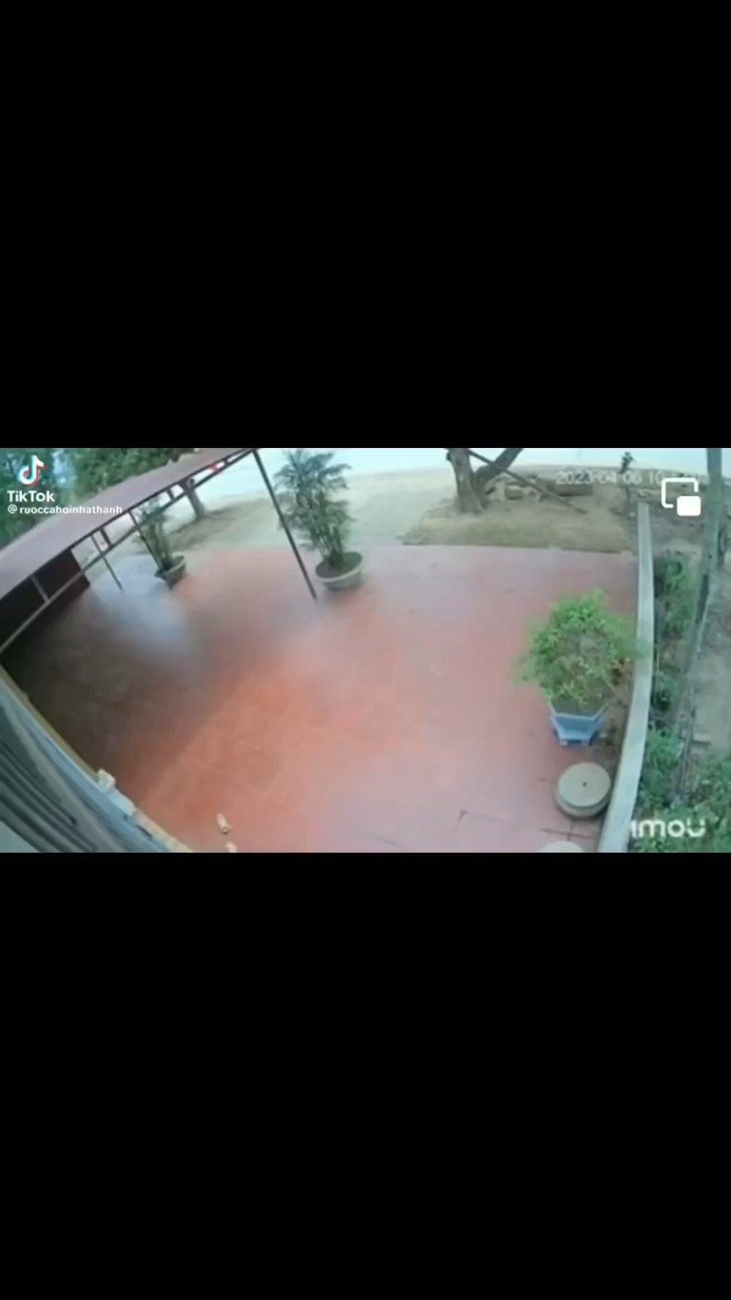 小孩子跳樓 兄弟關掉創意模式 - GoreSee - 死亡正在註視著你 bro turn off creative mode ...